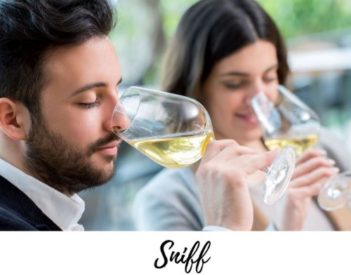 How to Host a Virtual Wine Tasting ⋆ Lone Star Gatherings