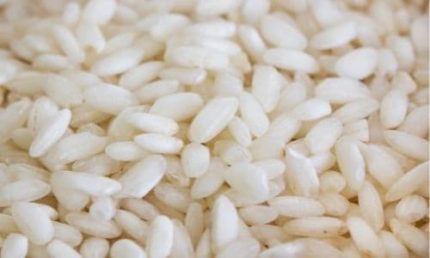 Baked Risotto with Butternut Squash ⋆ Lone Star Gatherings